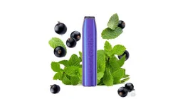 Disposable Pod Blackcurrant Menthol Geek Bar - MASQUEVAPOR.com.